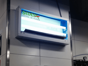 Eliminar plaga de moscas | SEDESA