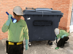 Eliminar plaga de moscas | SEDESA