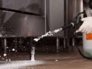 Eliminar plaga de moscas | SEDESA