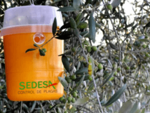 Eliminar plaga de moscas | SEDESA